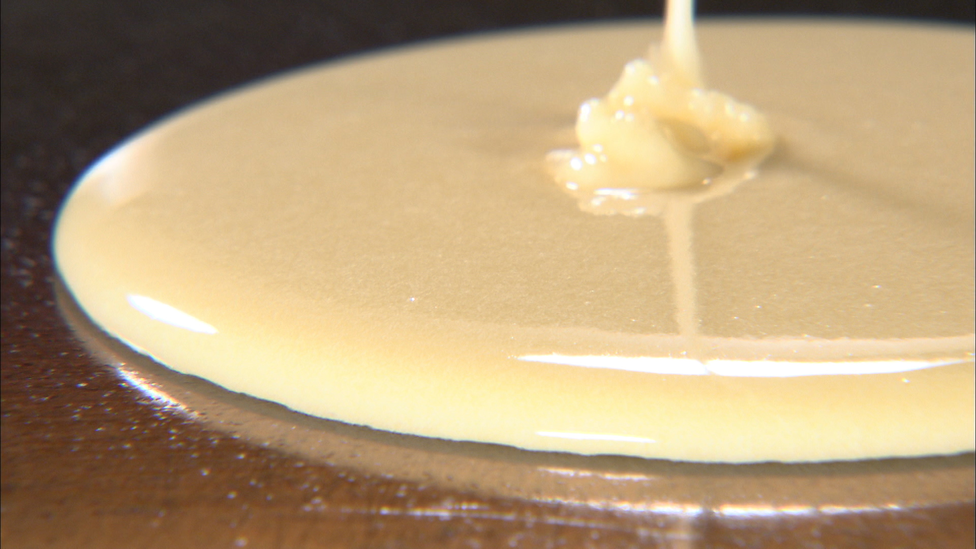 Mamesuke -Shiba Inu ＆ Japanese Sweets- | TVO Television Osaka, Inc.